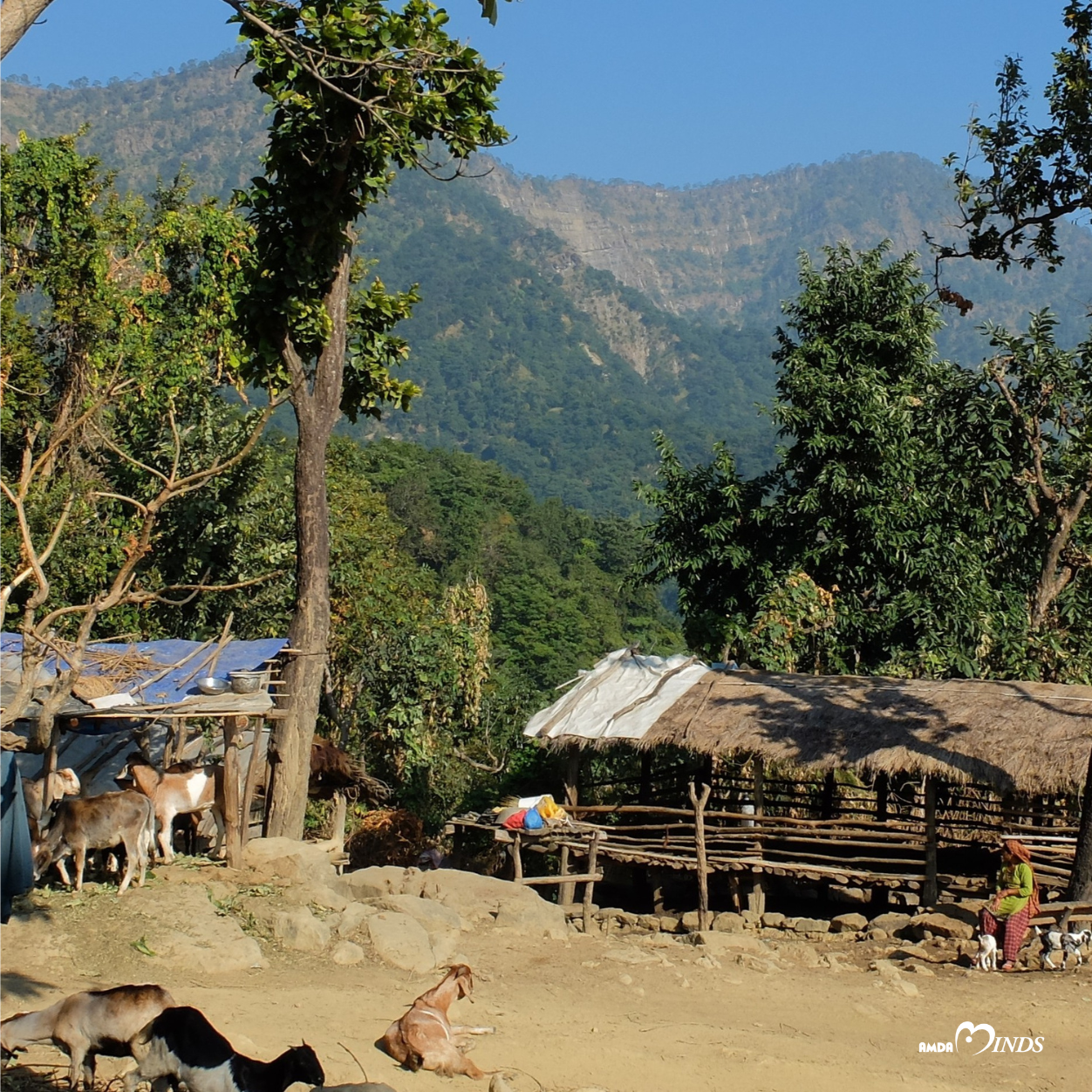 In-Depth Insights from Nepal ~Breaking the Silence｜AMDA MINDS