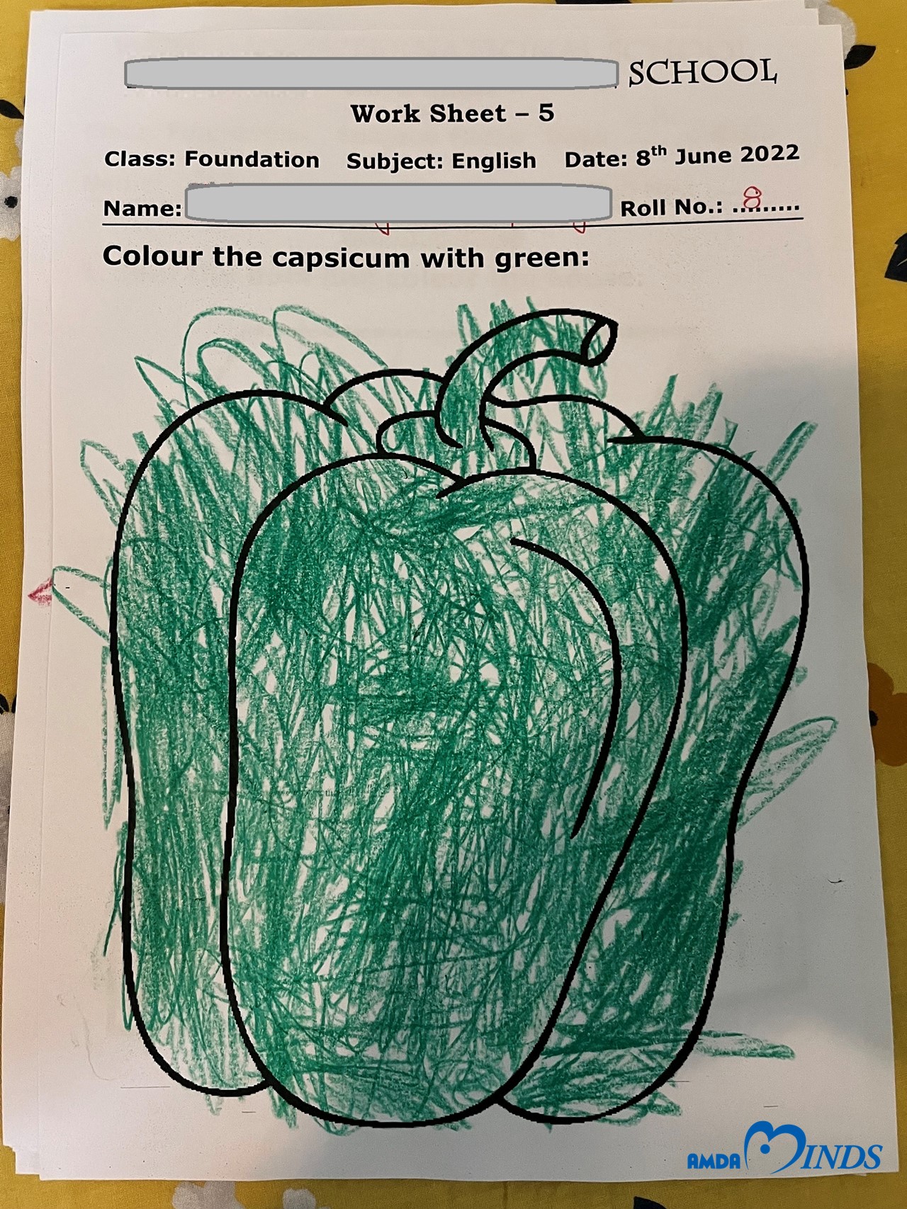 ネパールでの暮らし、第2幕のはじまりネパール事務所 小林麻衣子 – AMDA社会開発機構(アムダマインズ)